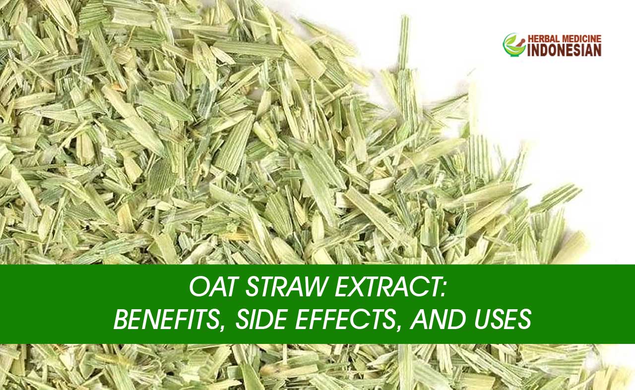 Oat Straw: Benefits, Side Effects, and Uses | Herb Medicine Indonesia