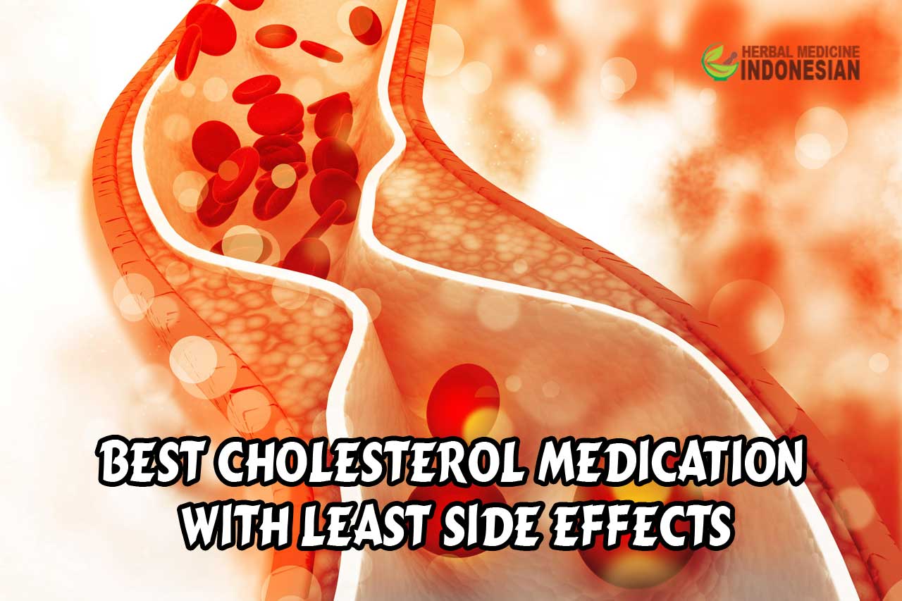 Best Cholesterol Medication with Least Side Effects | Herb Medicine ...