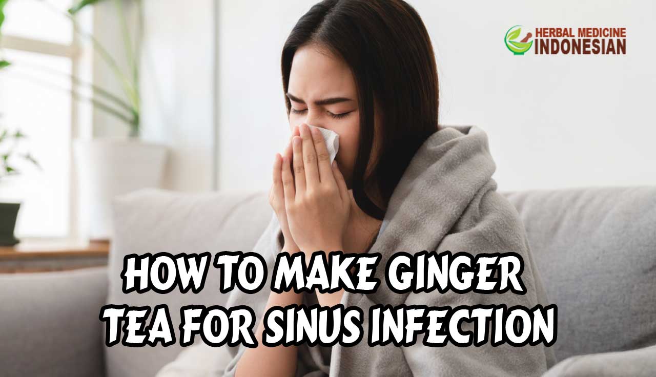 How to Make Ginger Tea for Sinus Infection? | Herb Medicine Indonesia